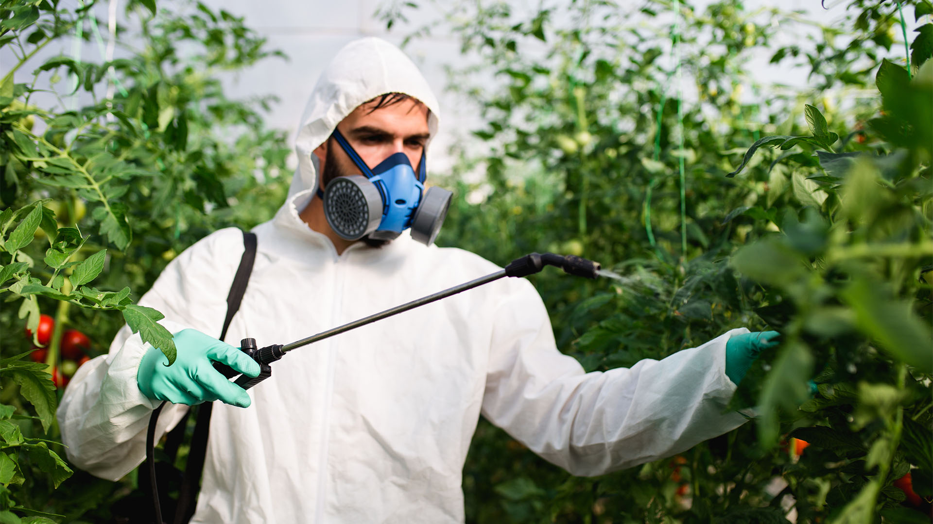 New material handling guides help you prepare for inspections - Greater ...